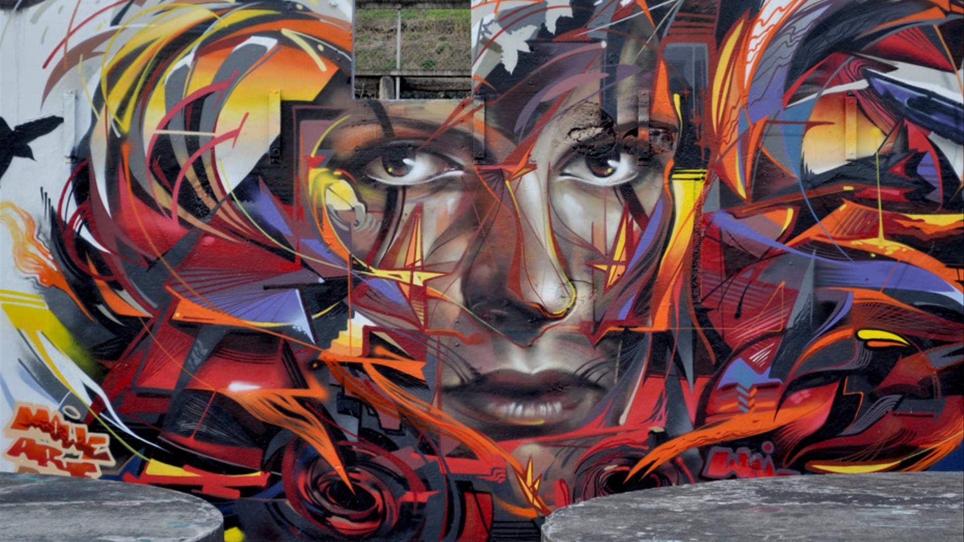 Markdig Usage Examples